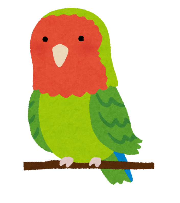 初心者が鳥飼うけどオススメある？？？？？？？？？？？: どうぶつちゃんねる